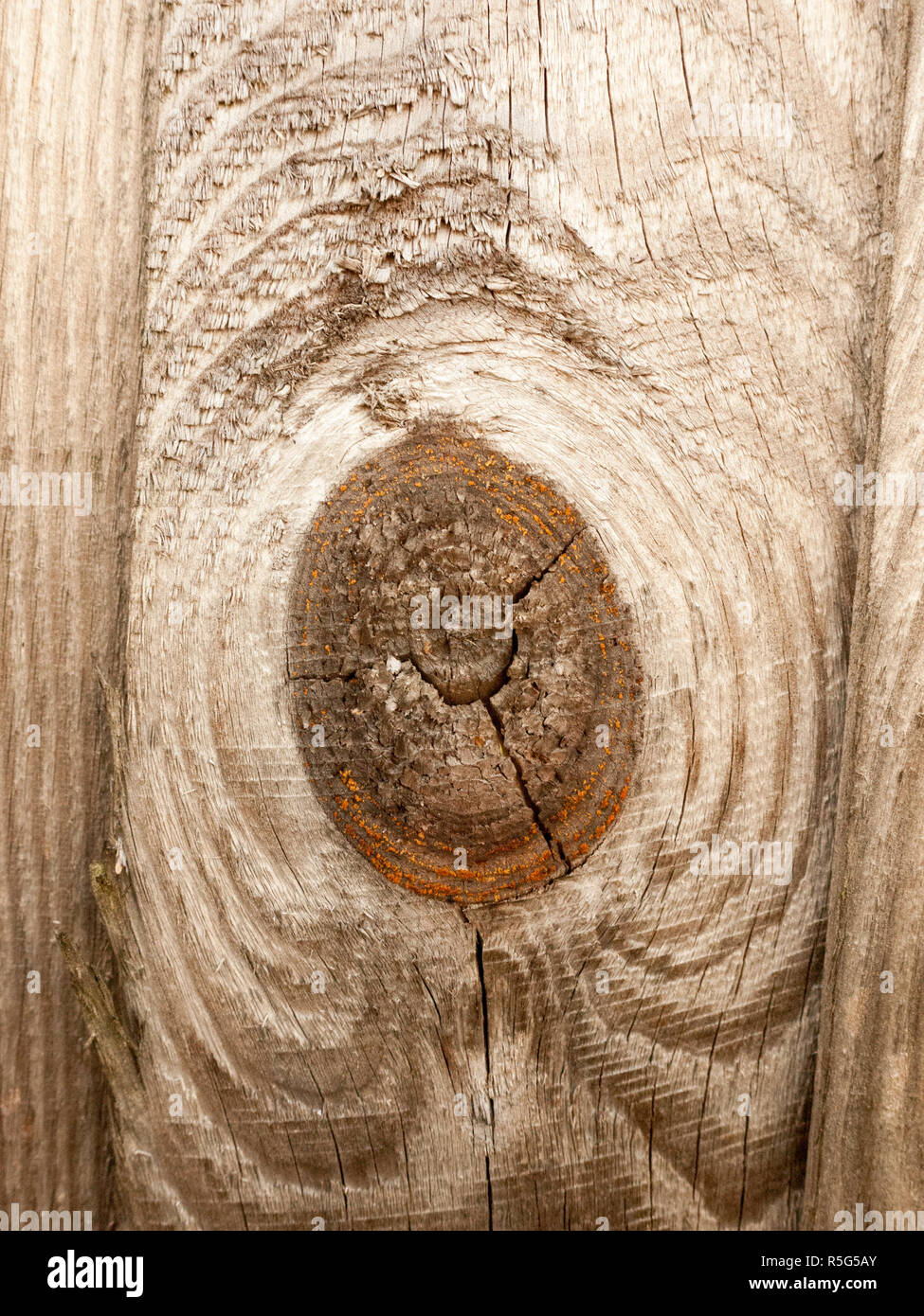 Wooden Fence Close up Texture in Garden Stock Photo - Alamy