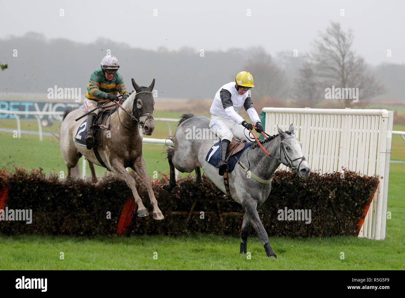 General stud book hi-res stock photography and images - Alamy