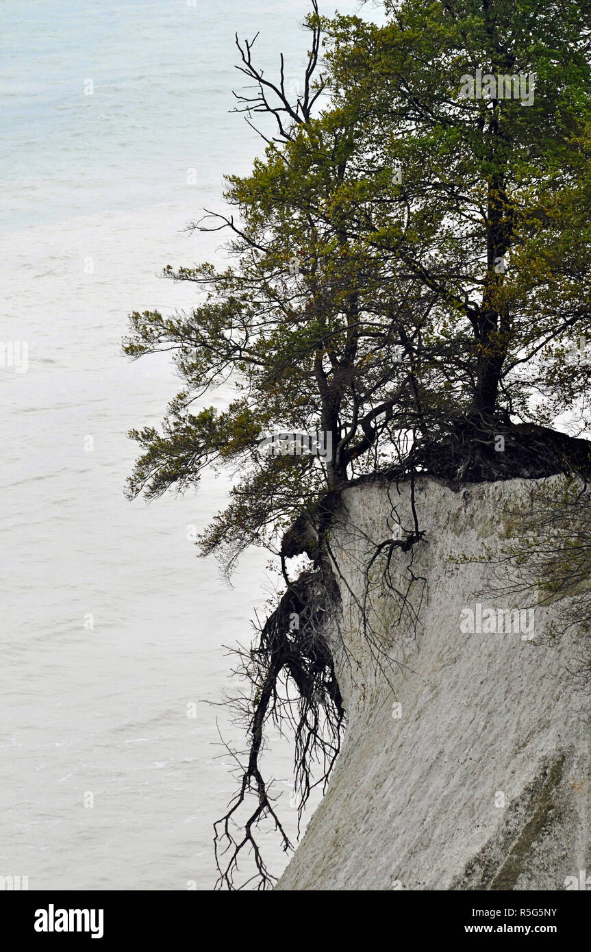 cliff with trees Stock Photo - Alamy