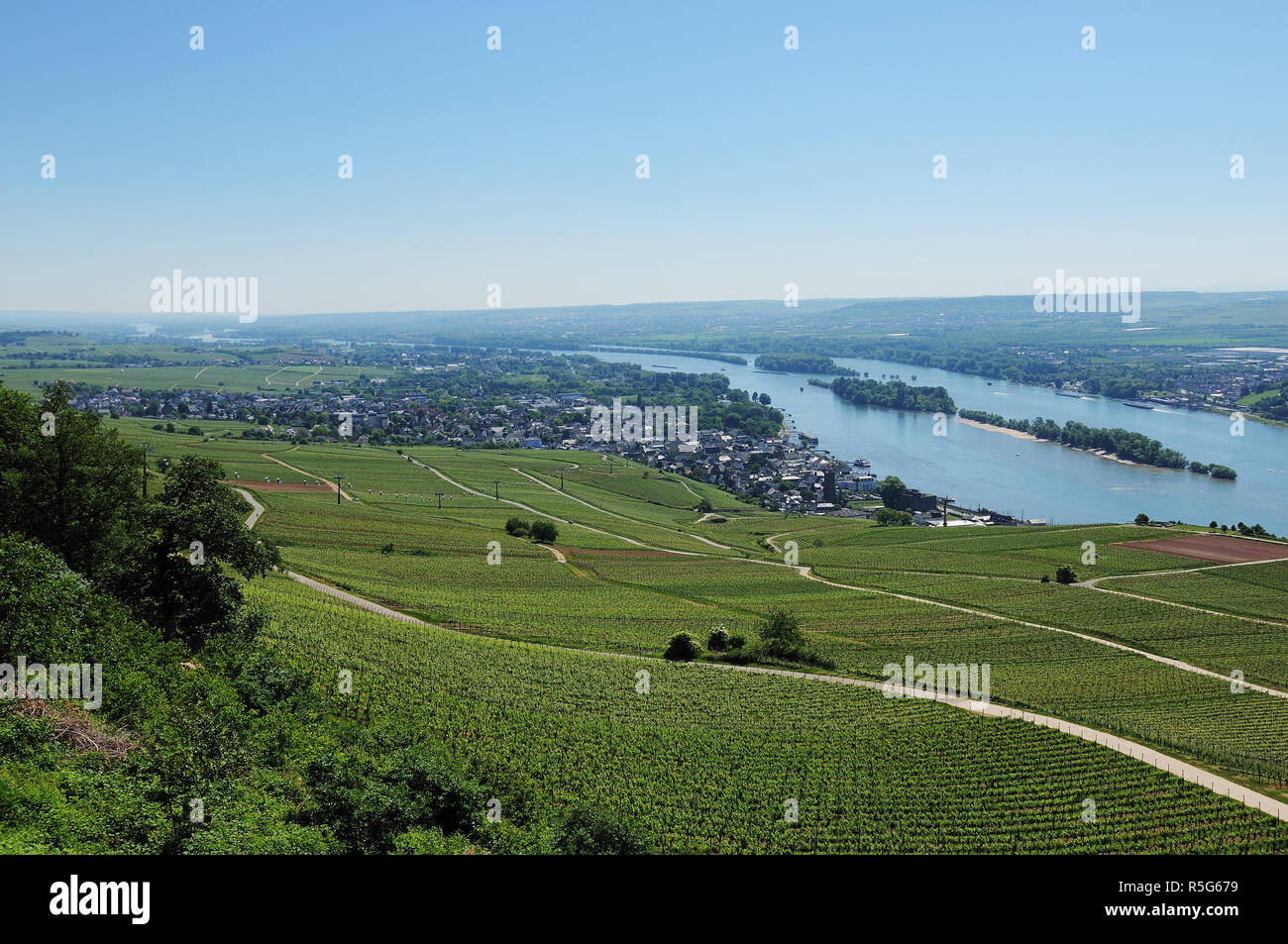 rudesheim am rhein Stock Photo - Alamy