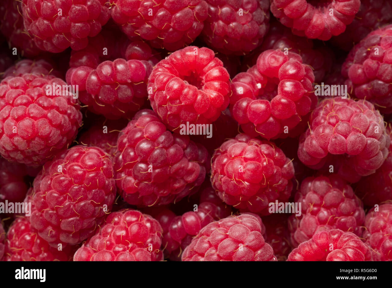 bunch of fruits red raw raspberries Stock Photo - Alamy
