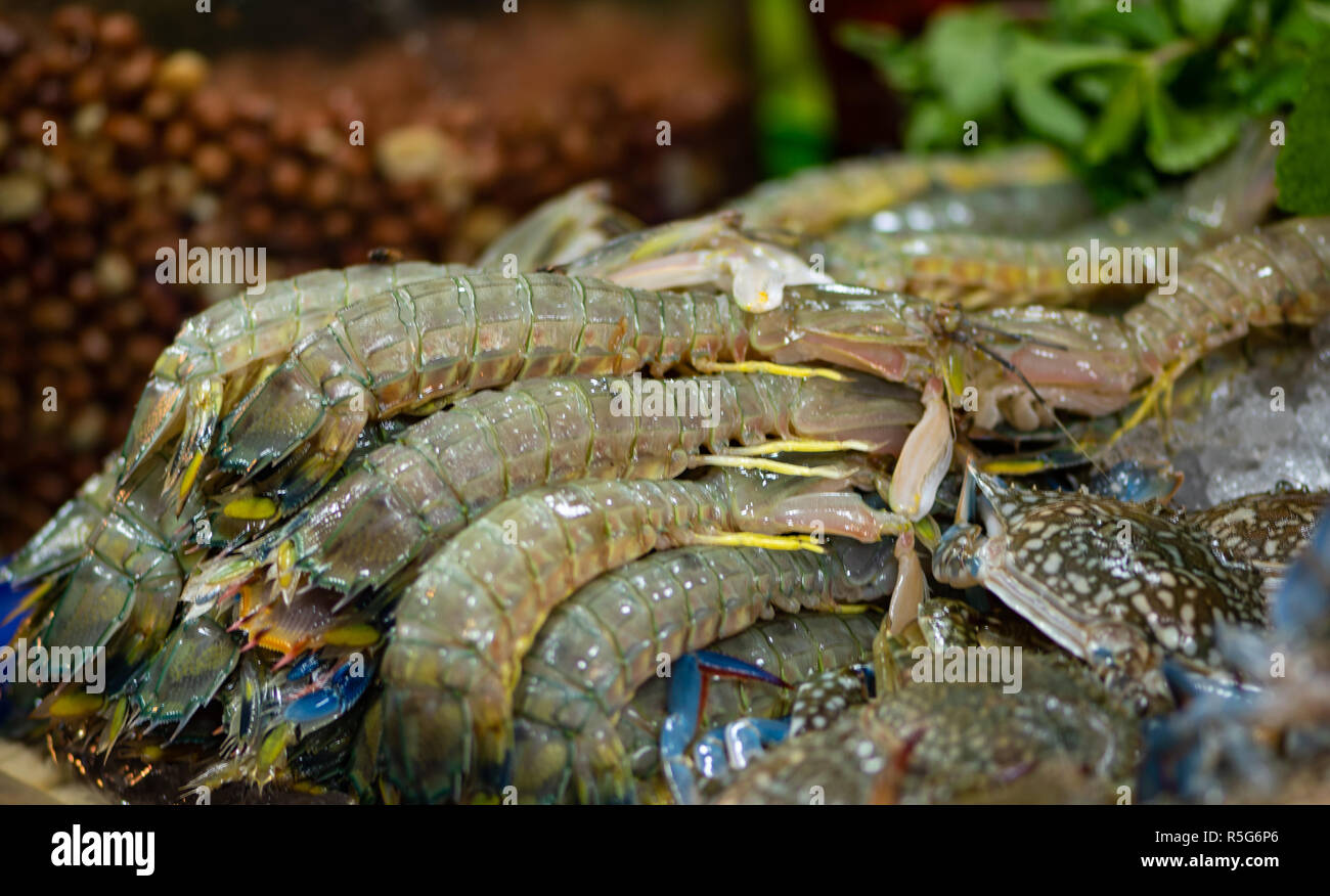 Fresh Mantis Shrimp Thai Street Food display Stomatopods Background ...