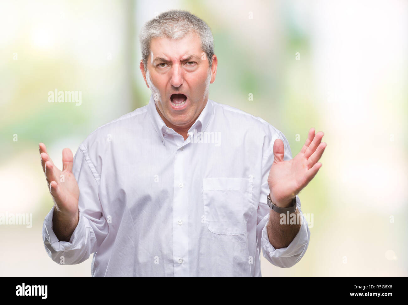 Handsome senior man over isolated background crazy and mad shouting and ...