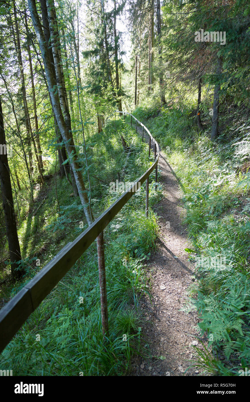 Trail in Forest with Railing Stock Photo - Alamy