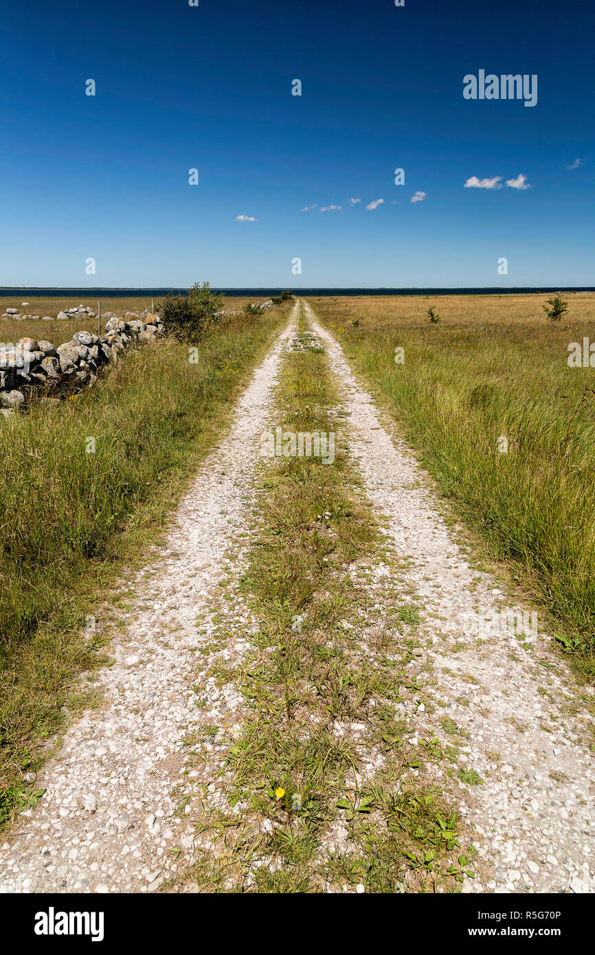 Gravel Road Leading to the Ocean Stock Photo - Alamy