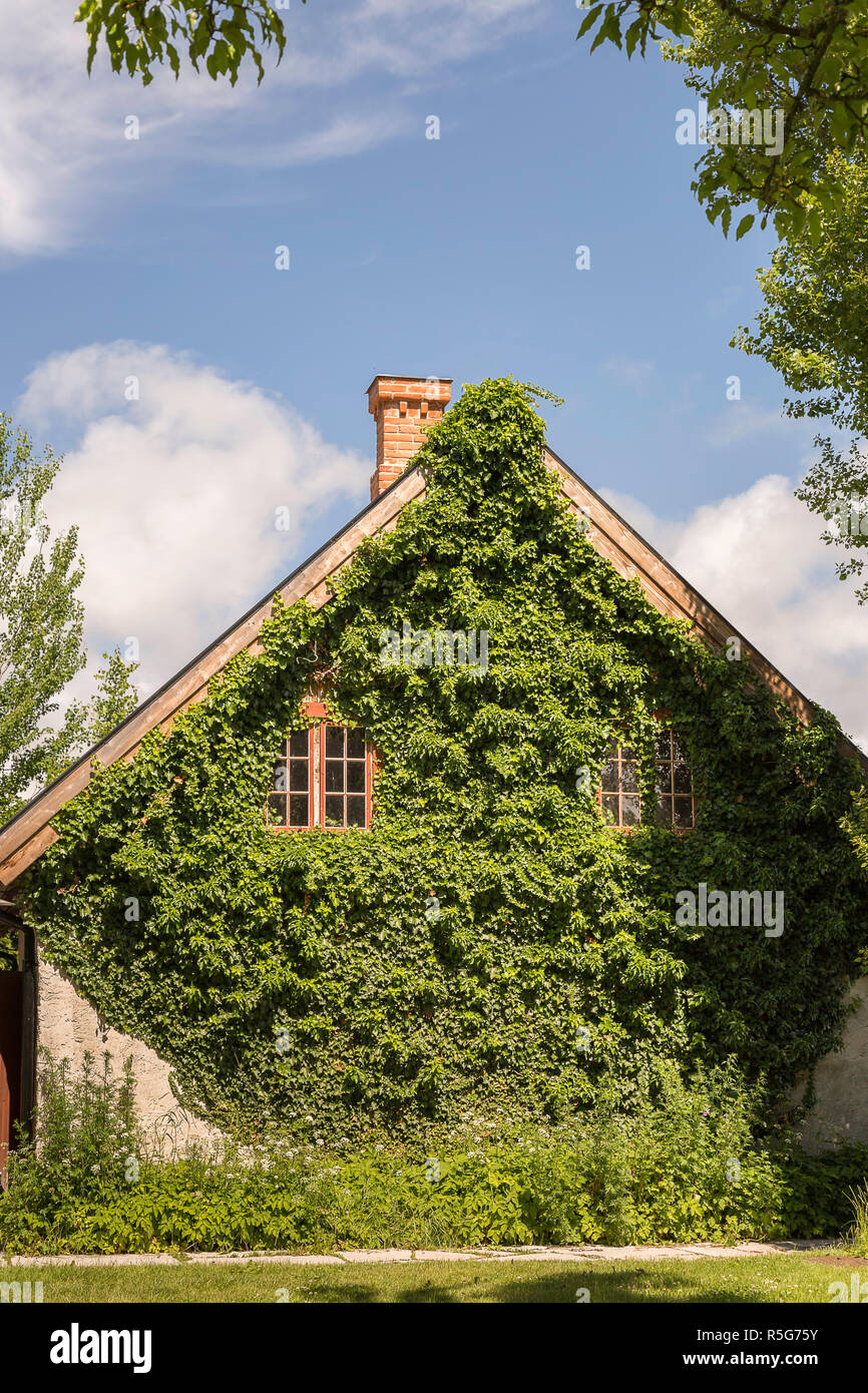 Covered In Vines High Resolution Stock Photography and Images - Alamy