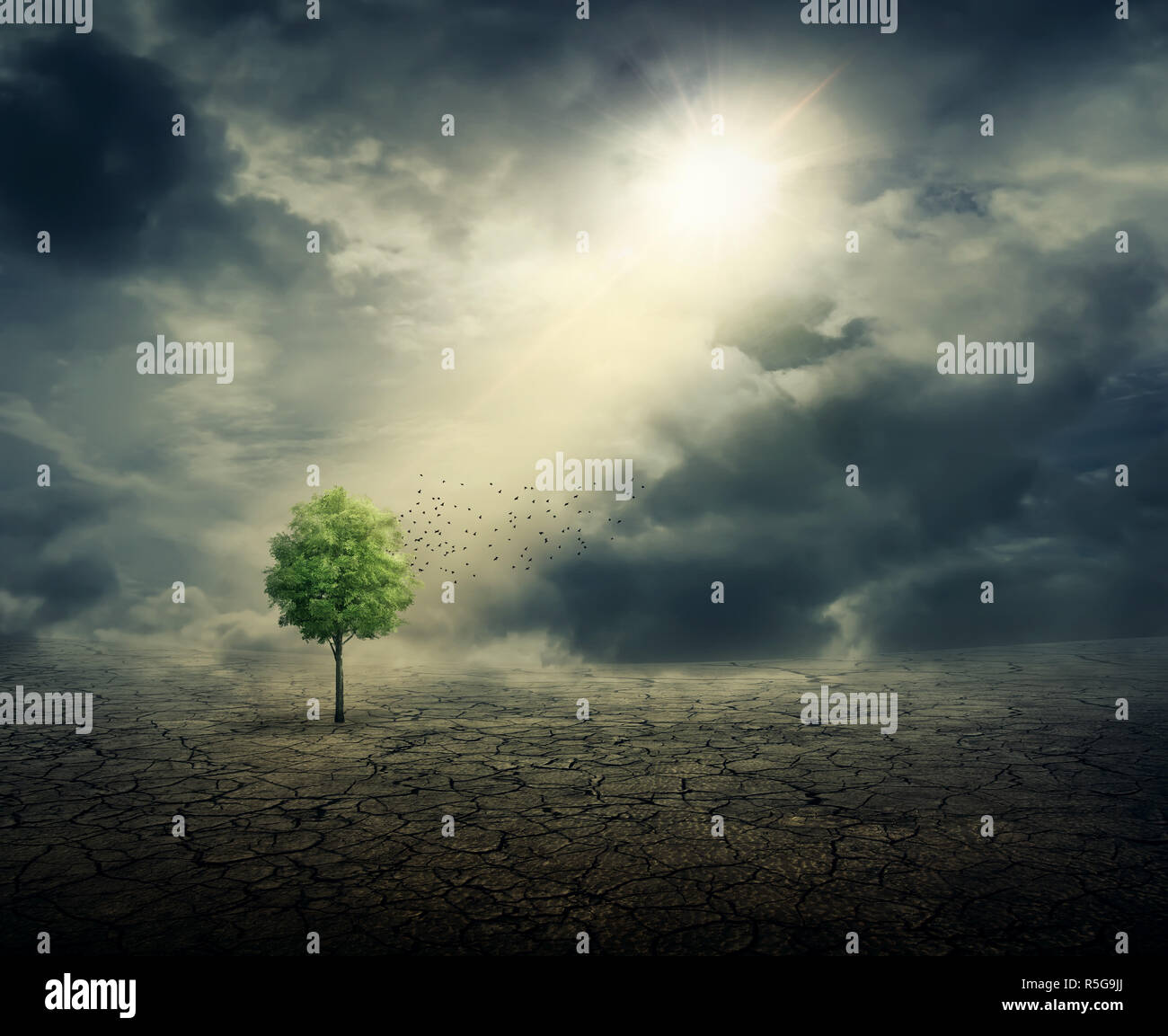 Drought metaphor hi-res stock photography and images - Alamy