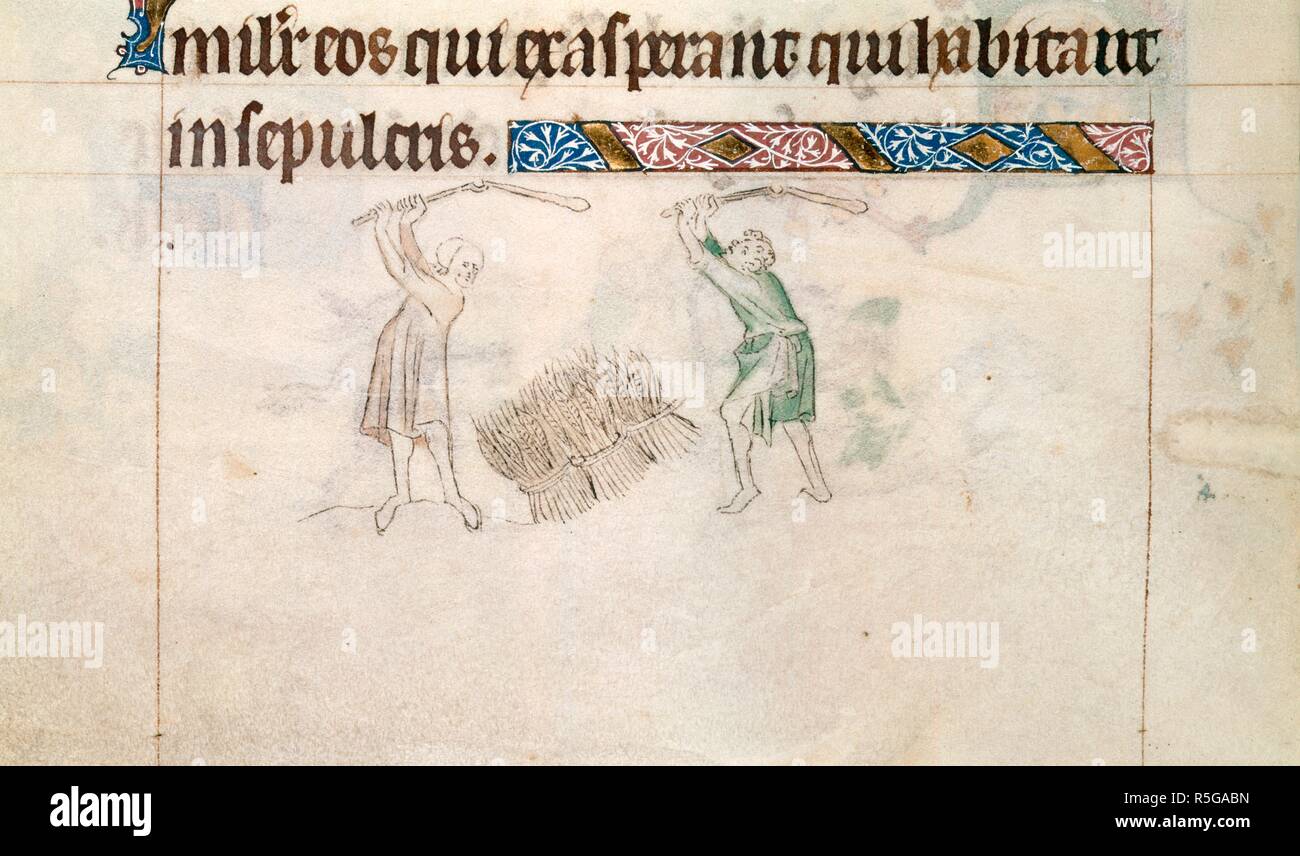 Sheaves of corn hi-res stock photography and images - Alamy