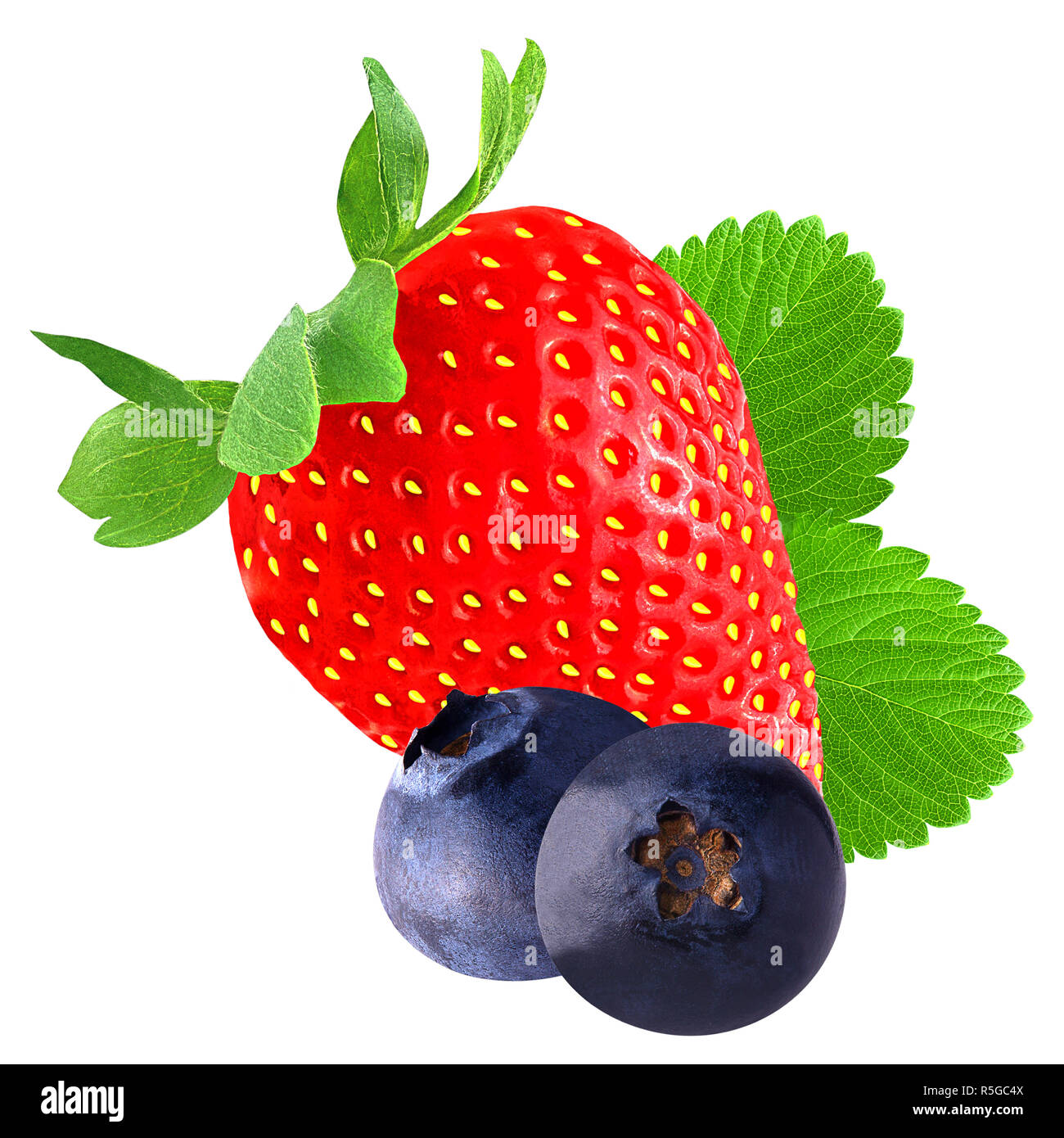 Berries with leaf isolated on white Stock Photo - Alamy