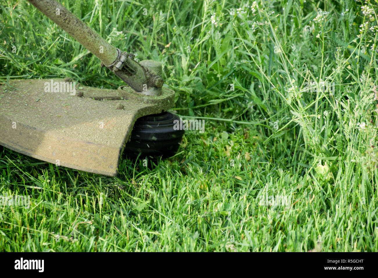 Weed trimmers hi-res stock photography and images - Alamy