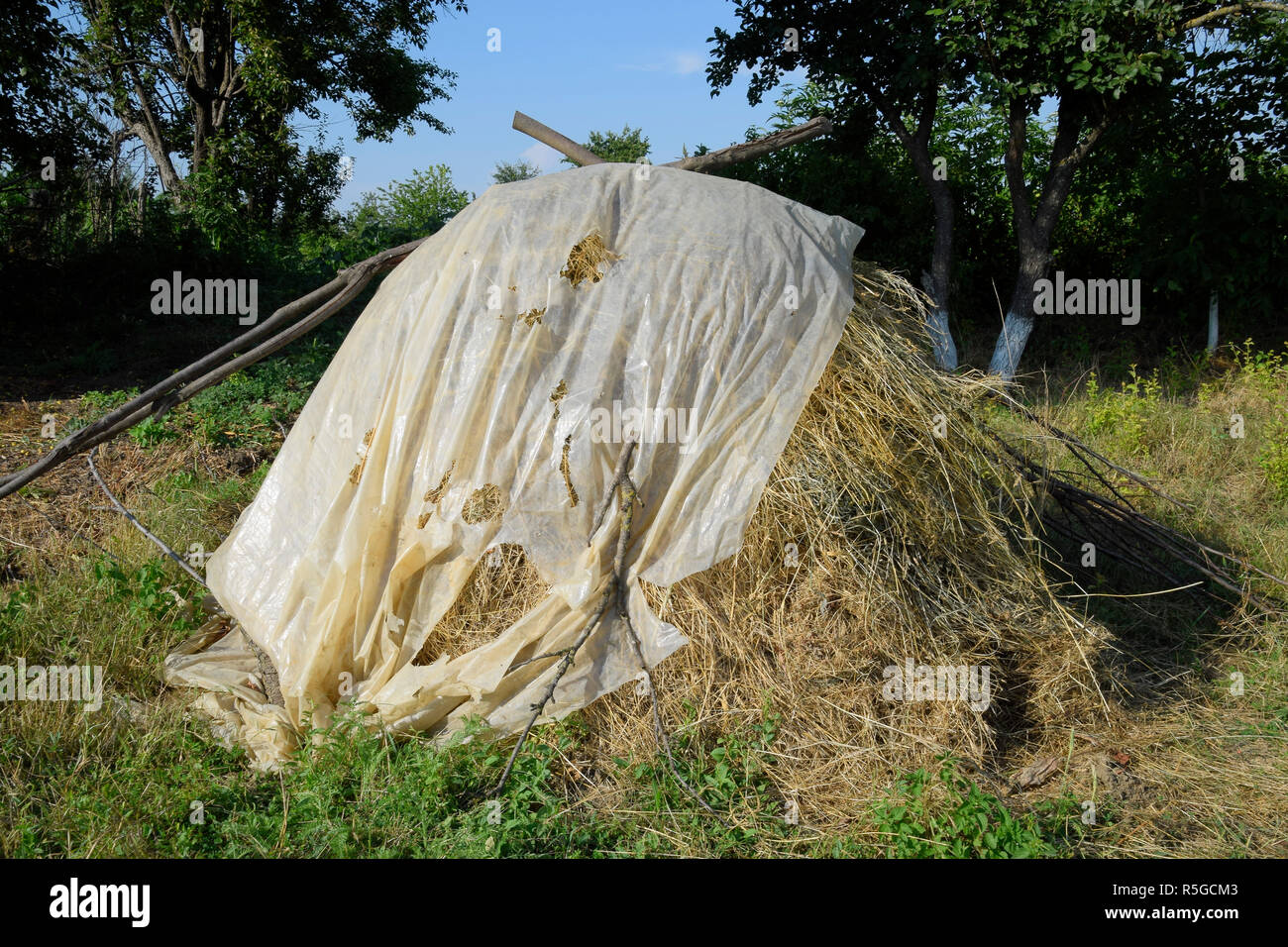 Haystack. A haystack of grass hay. Hay making Stock Photo - Alamy