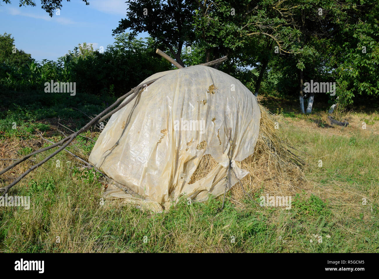 Haystack. A haystack of grass hay. Hay making Stock Photo - Alamy