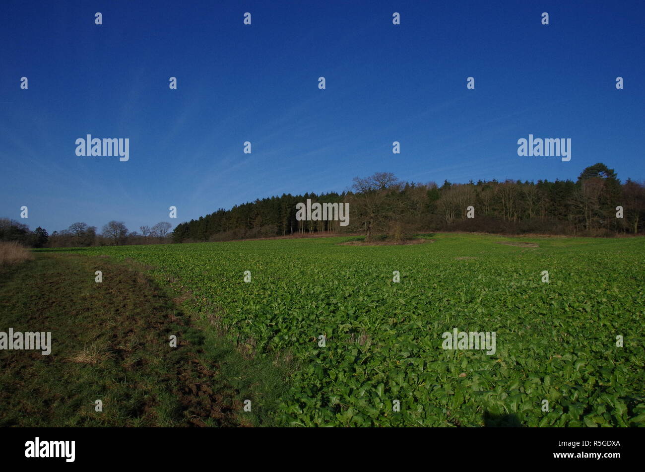 The Macmillan Way. Long-distance trail. Warwickshire. England. UK Stock ...