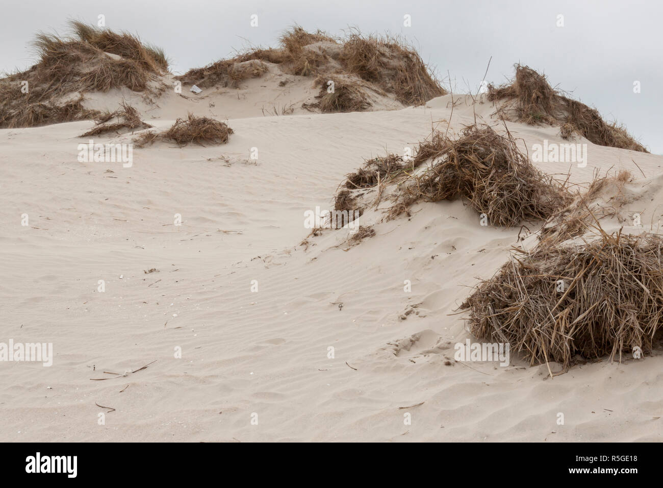 Beach on Romo Island. Denmark, Europe Stock Photo - Alamy