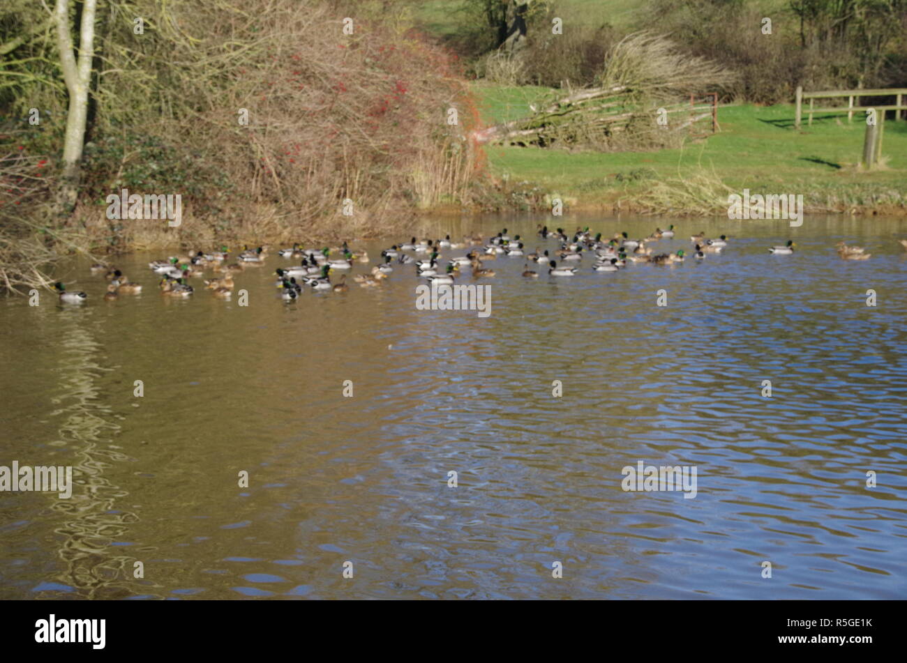 The Macmillan Way. Long-distance trail. Warwickshire. England. UK Stock ...