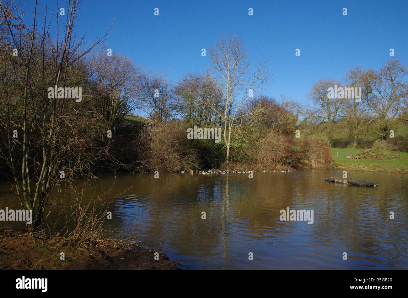 The Macmillan Way. Long-distance trail. Warwickshire. England. UK Stock ...