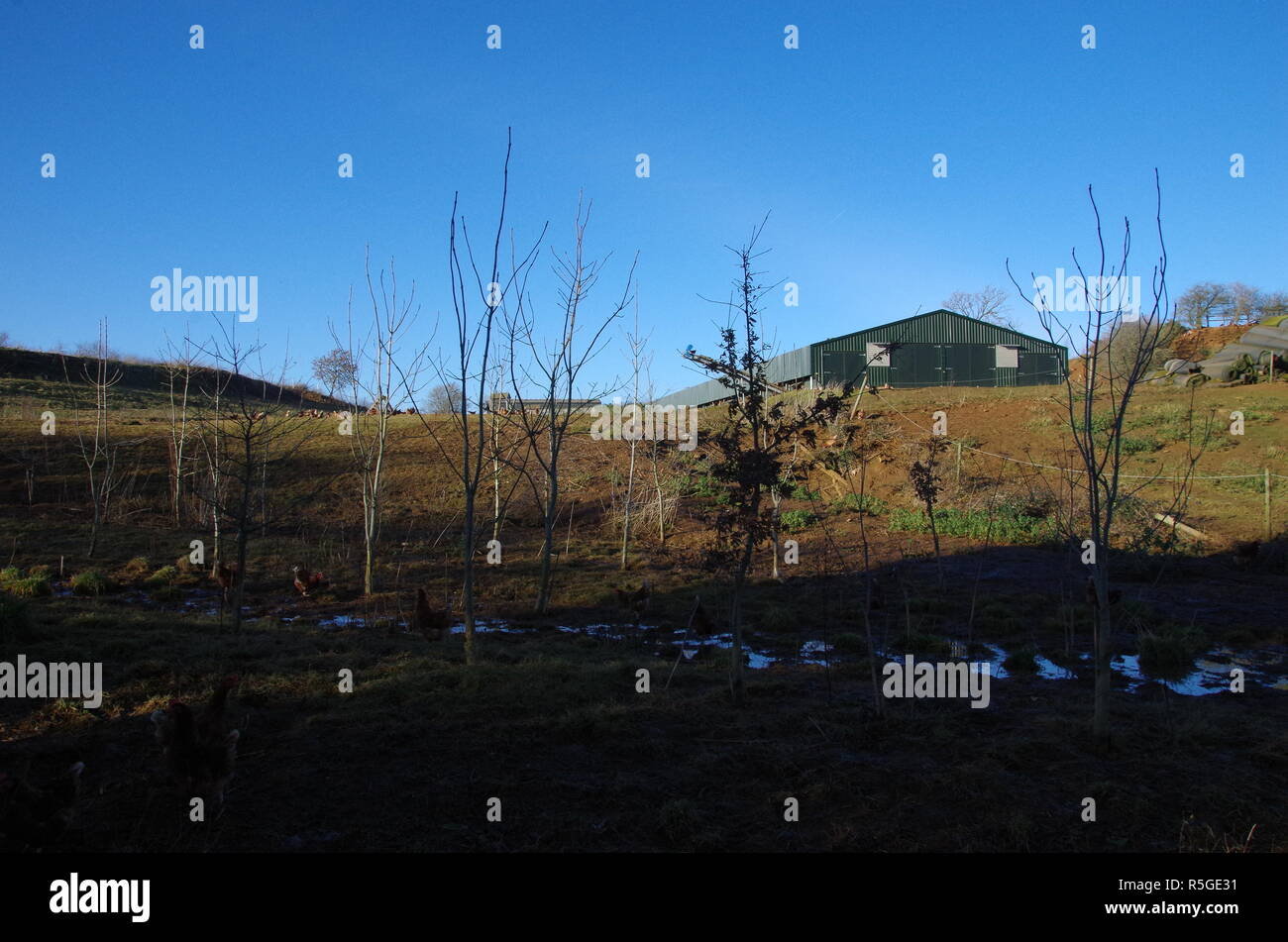 The Macmillan Way. Long-distance trail. Warwickshire. England. UK Stock ...