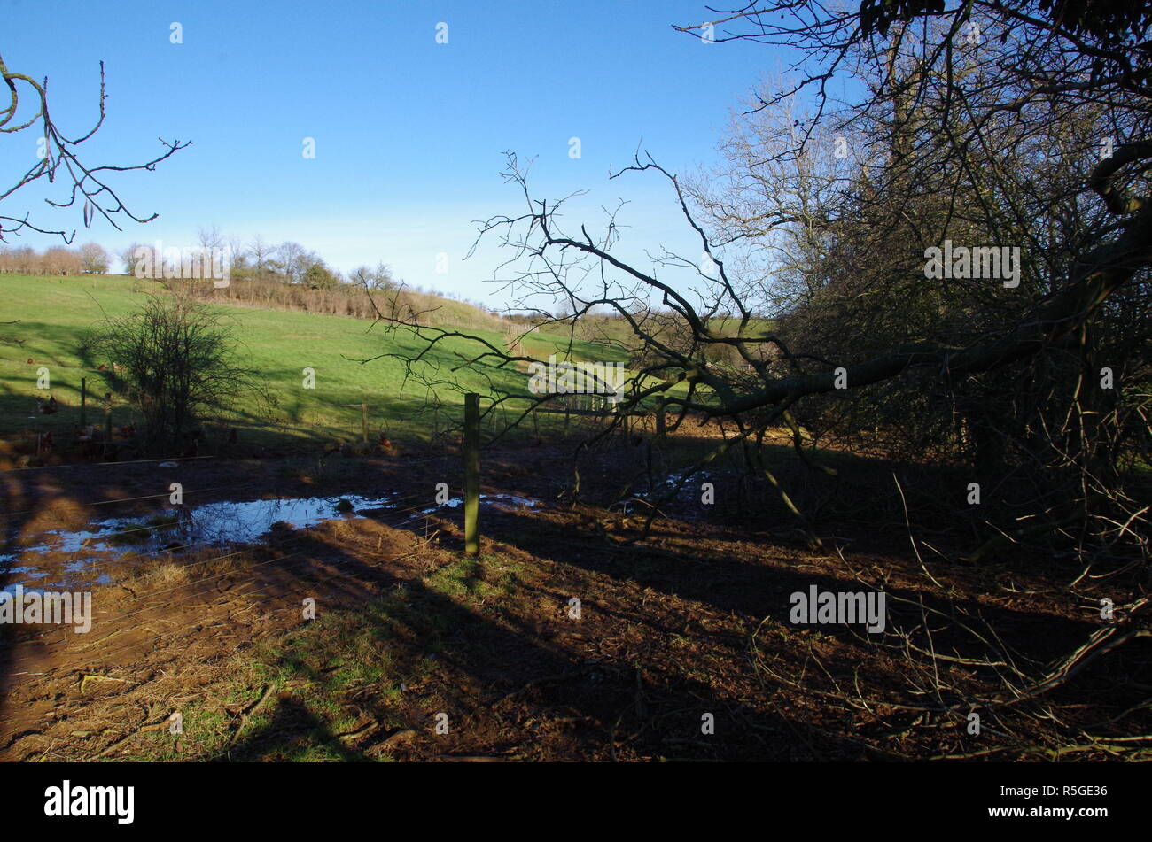 The Macmillan Way. Long-distance trail. Warwickshire. England. UK Stock ...