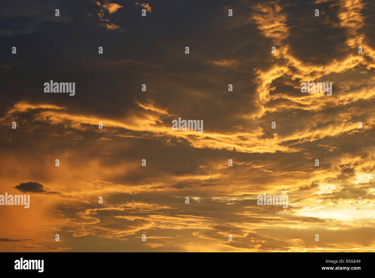 golden clouds sky / colorful dramatic sky sunset on summer in the ...