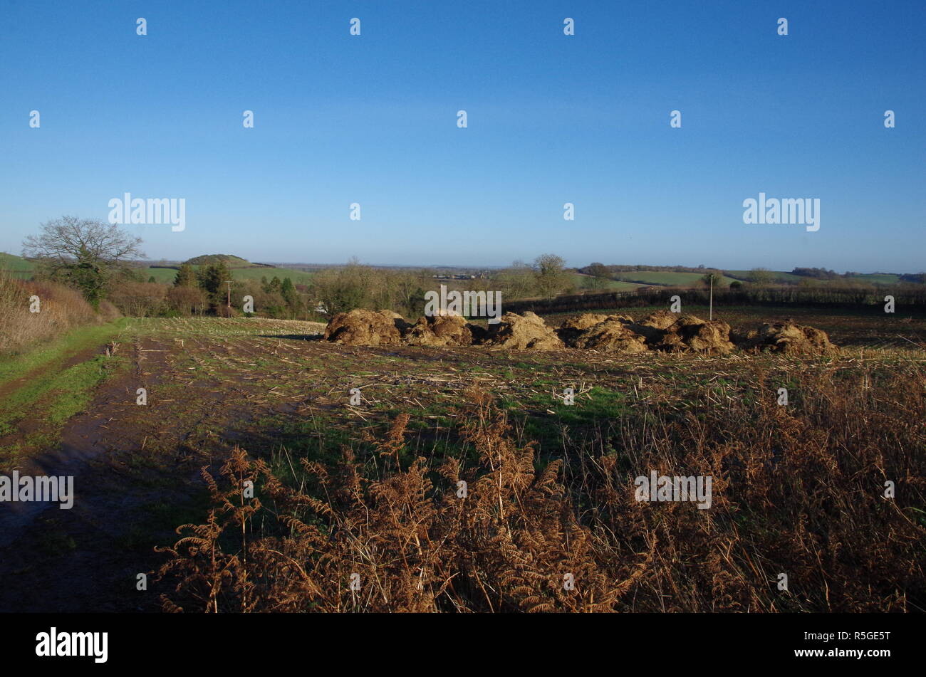 The Macmillan Way. Long-distance trail. Warwickshire. England. UK Stock ...