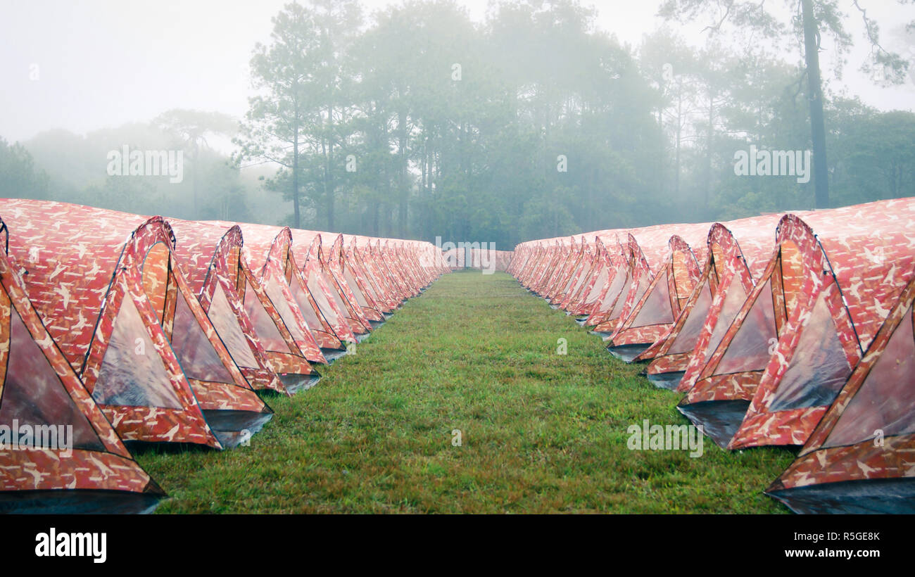 camping tent stand in a line with fog mist and pine tree background in ...