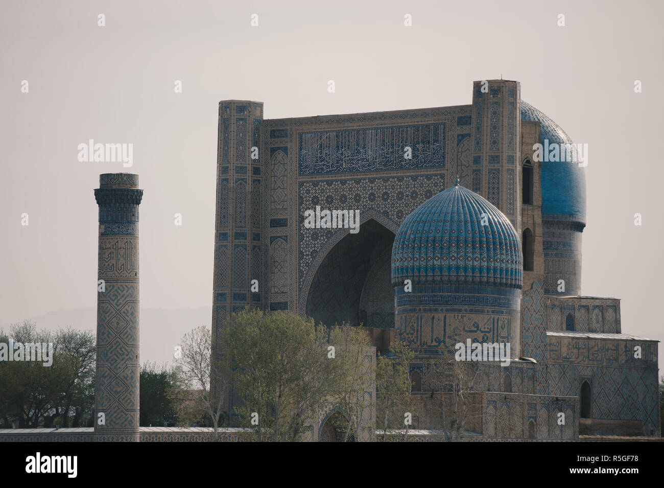 Maracanda hi-res stock photography and images - Alamy