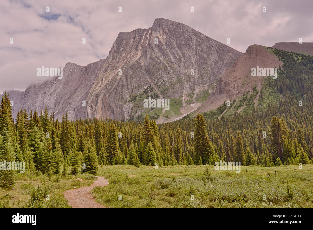 Trail to Mount Chester Stock Photo - Alamy