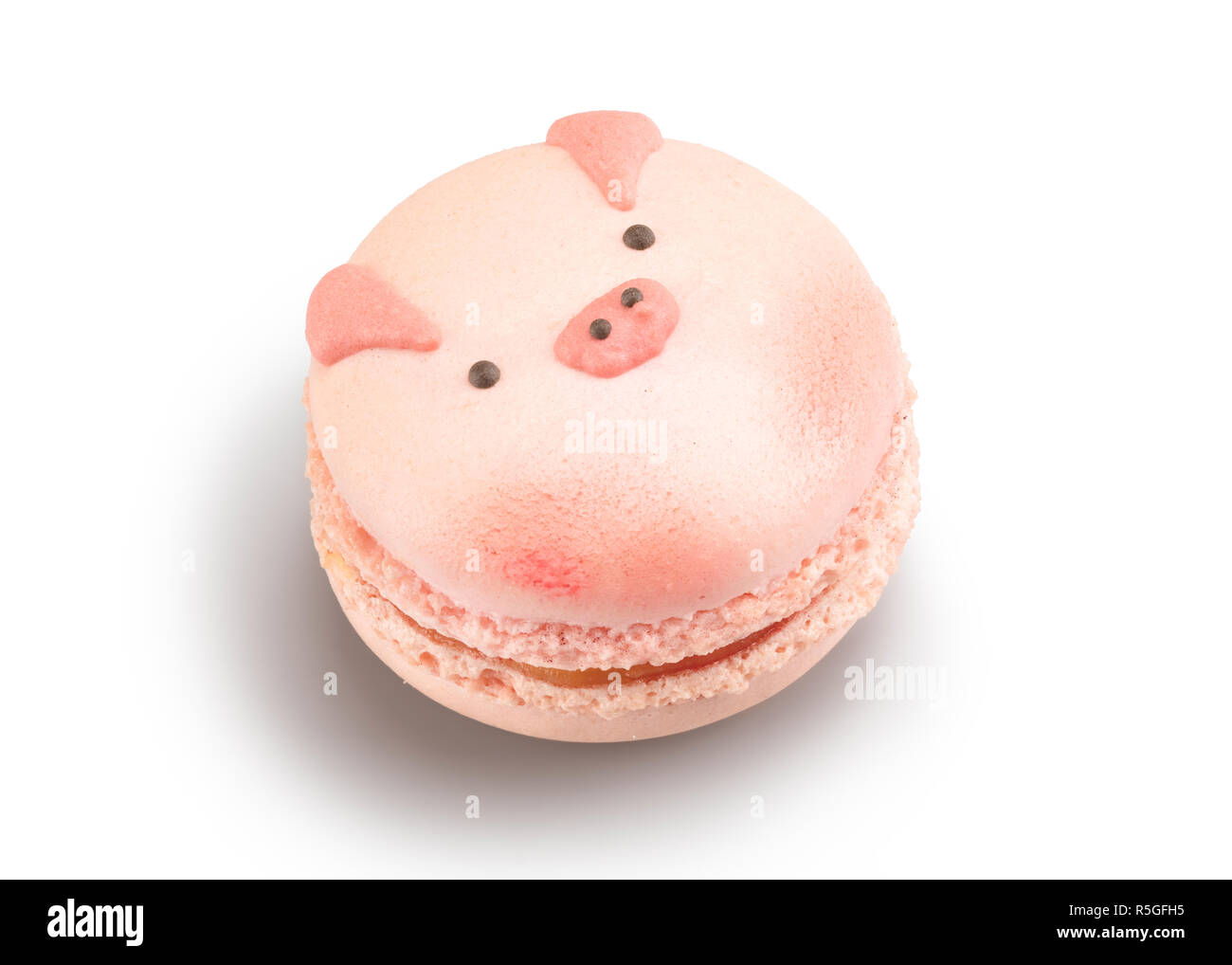 Cartoon cute cat for kids hi-res stock photography and images - Alamy