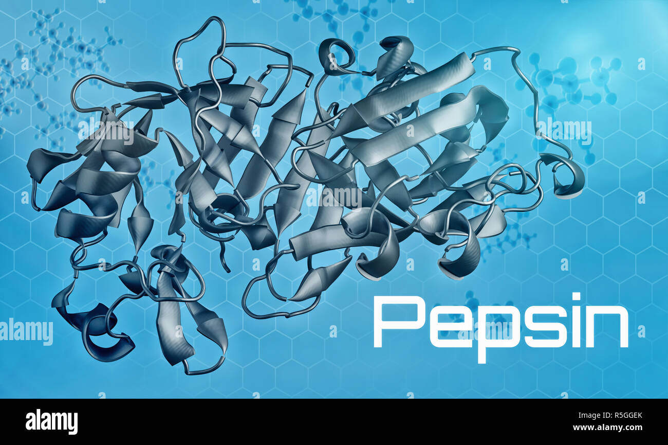 three-dimensional structure of pepsin Stock Photo - Alamy three-dimensional structure of pepsin Stock Photo - Alamy