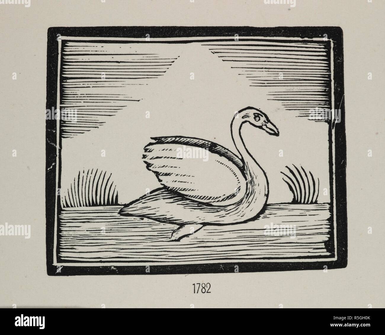 Thomas Bewick Woodcut High Resolution Stock Photography and Images - Alamy