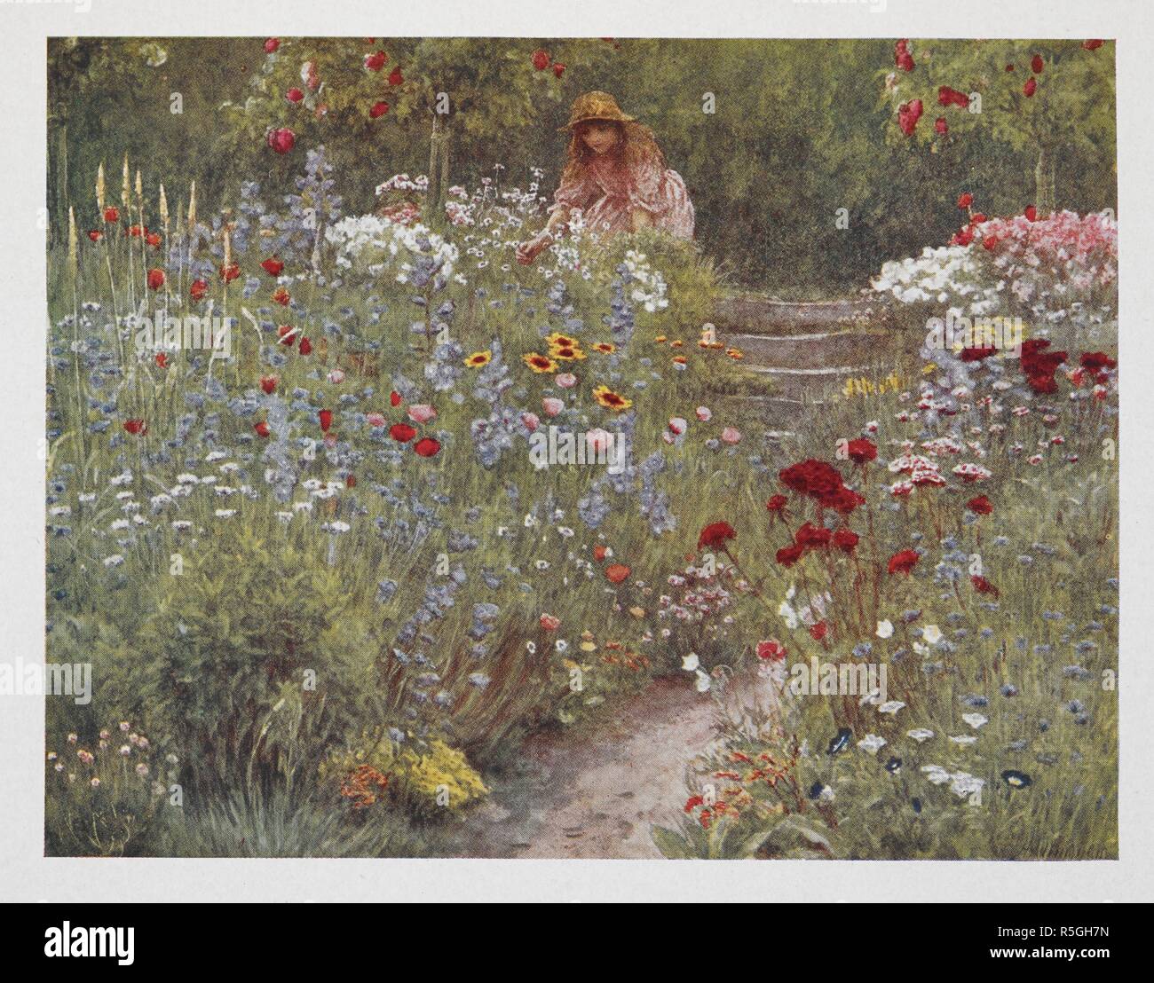 Huish park hi-res stock photography and images - Alamy