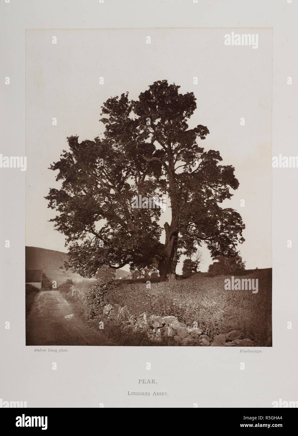 Hs timber hi-res stock photography and images - Alamy