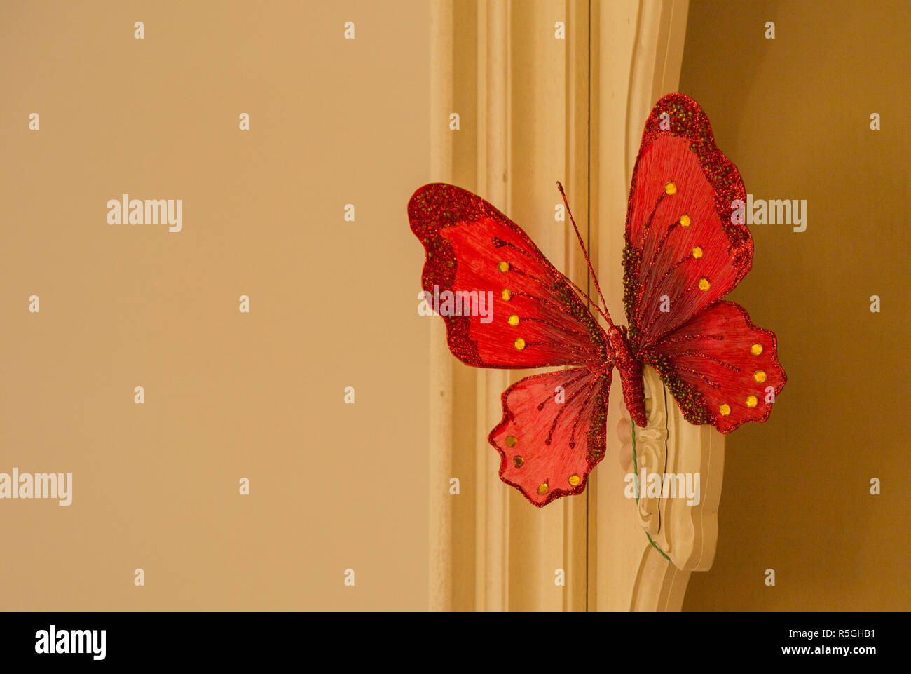 Decorative butterfly hi-res stock photography and images - Alamy
