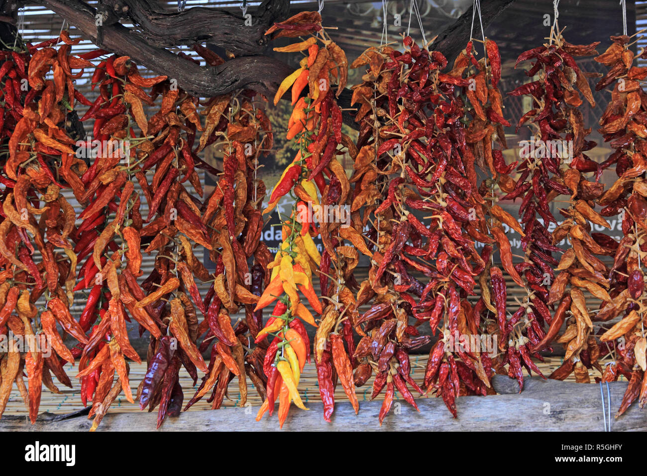 Dried chilli peppers displayed for sale, Sorrento, Italy Stock Photo ...