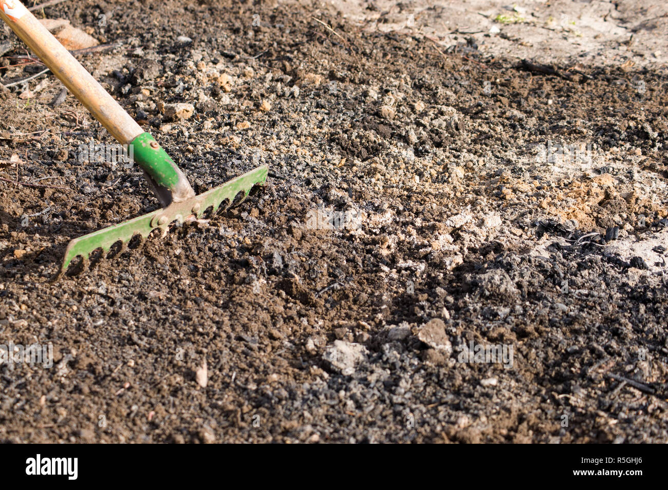 Raking the ground, preparing soil to sowing, spring gardening Stock ...