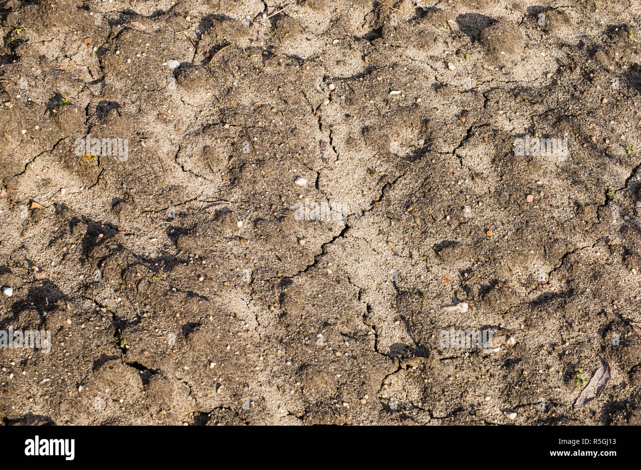 Dried ground covered with cracks, background Stock Photo - Alamy