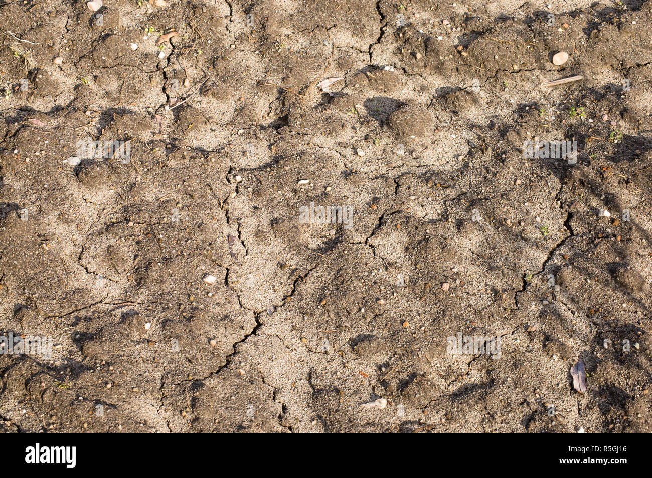 Surface dried earth covered hi-res stock photography and images - Alamy
