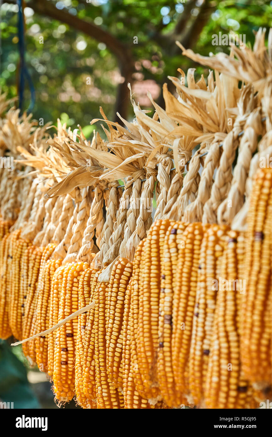 Vietnam dried corn cob hi-res stock photography and images - Alamy