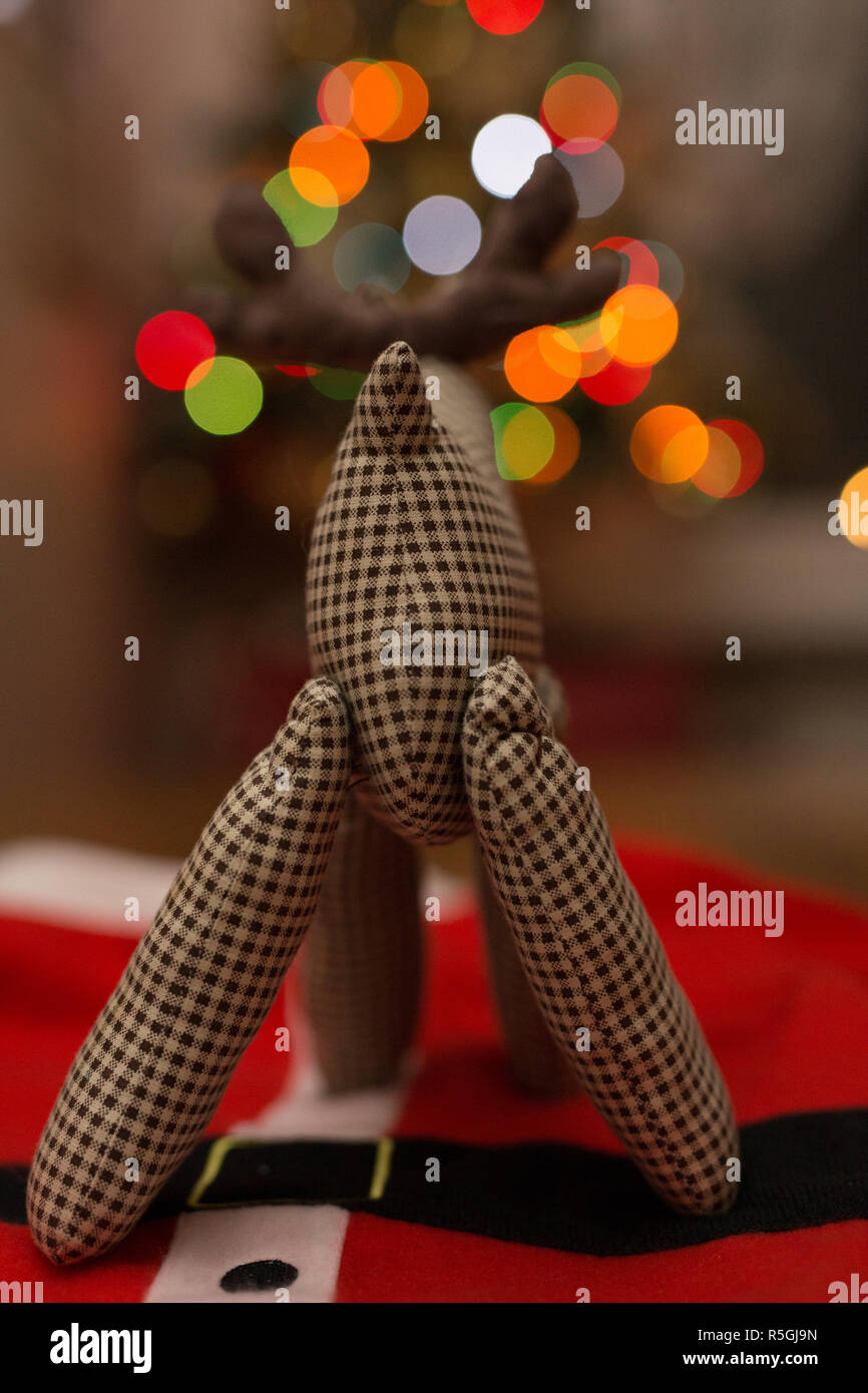 view behind reindeer herd with background and lights Stock Photo - Alamy