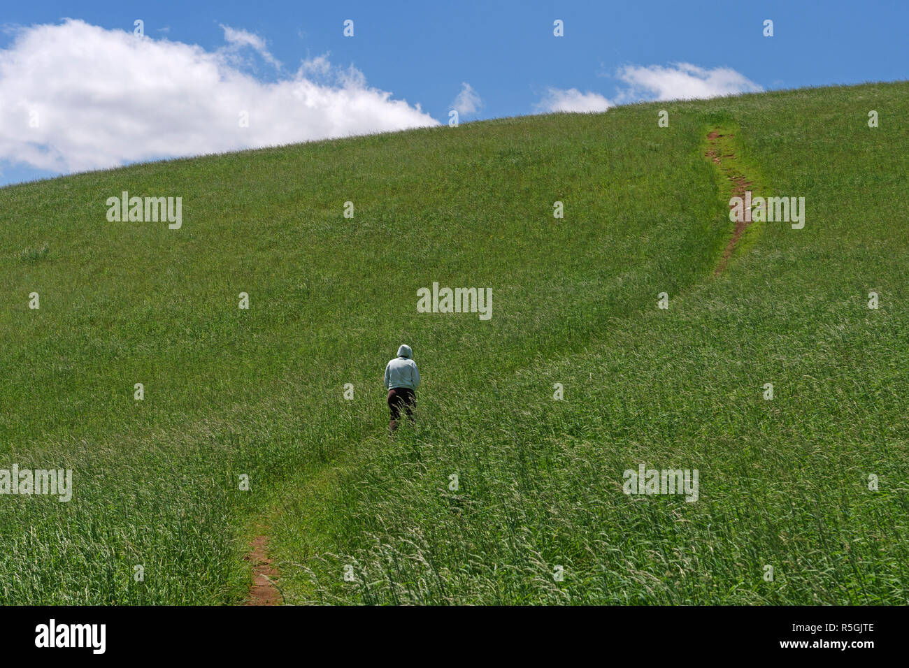 Goal in Sight Stock Photo - Alamy