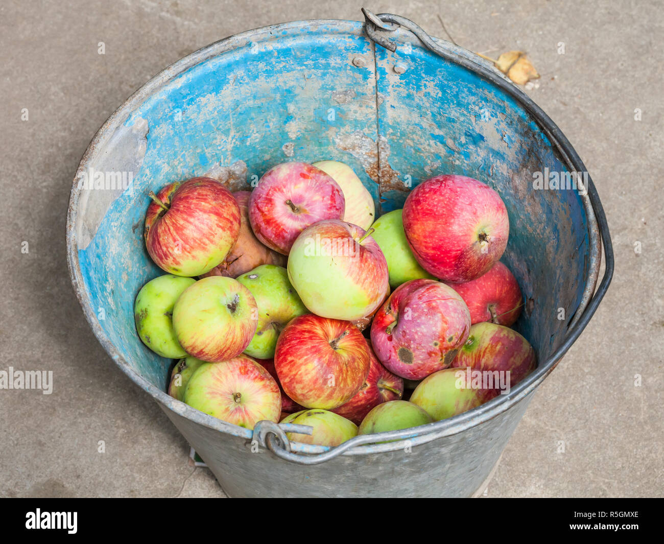 Rotten apples above High Resolution Stock Photography and Images - Alamy