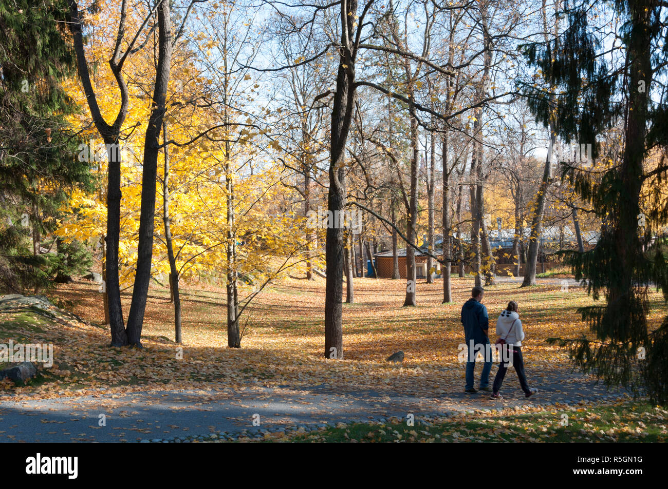 Autumn Colours in Finland Stock Photo - Alamy