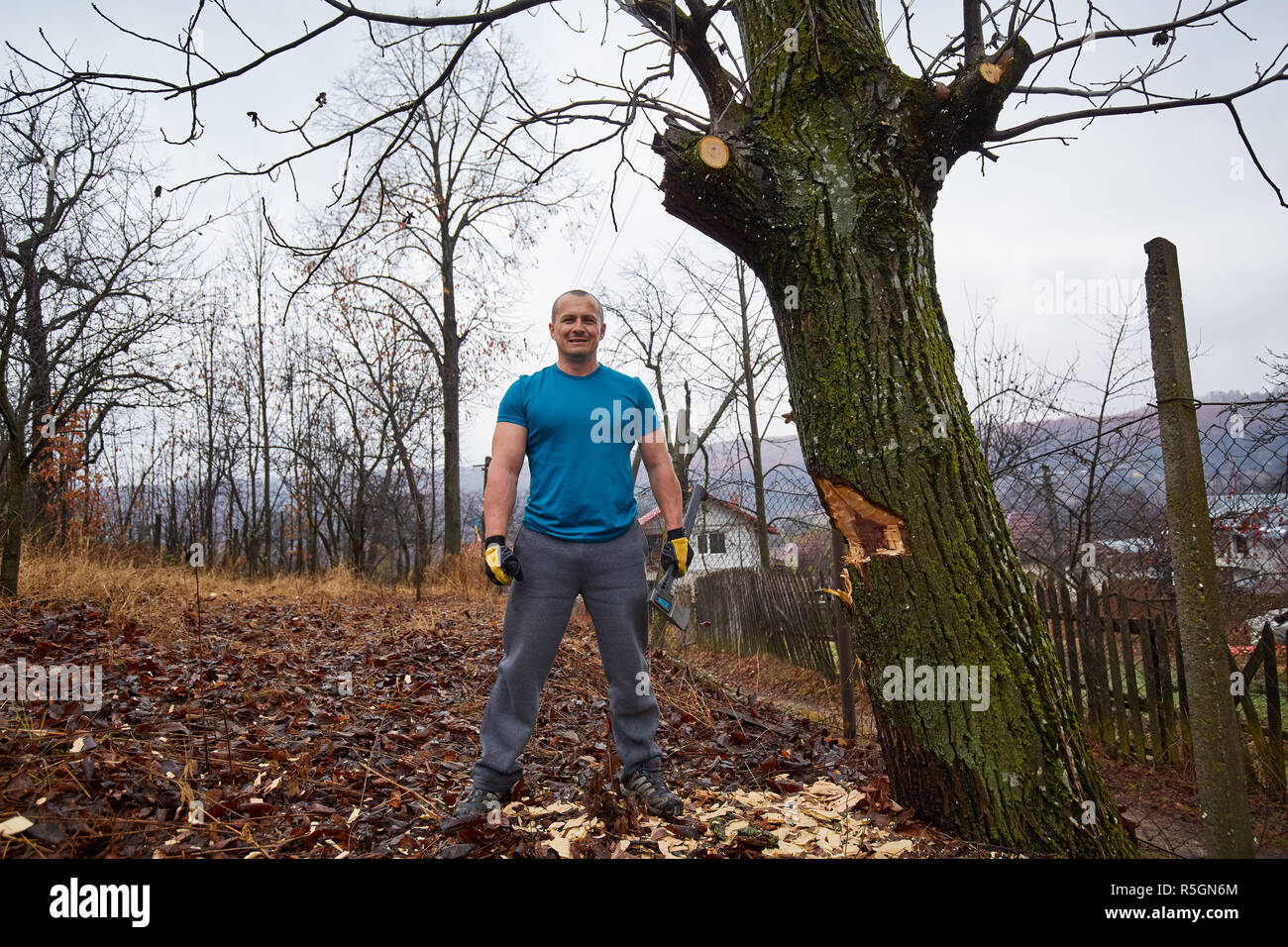 Strong lumberjack felling a big tree with an axe Stock Photo - Alamy