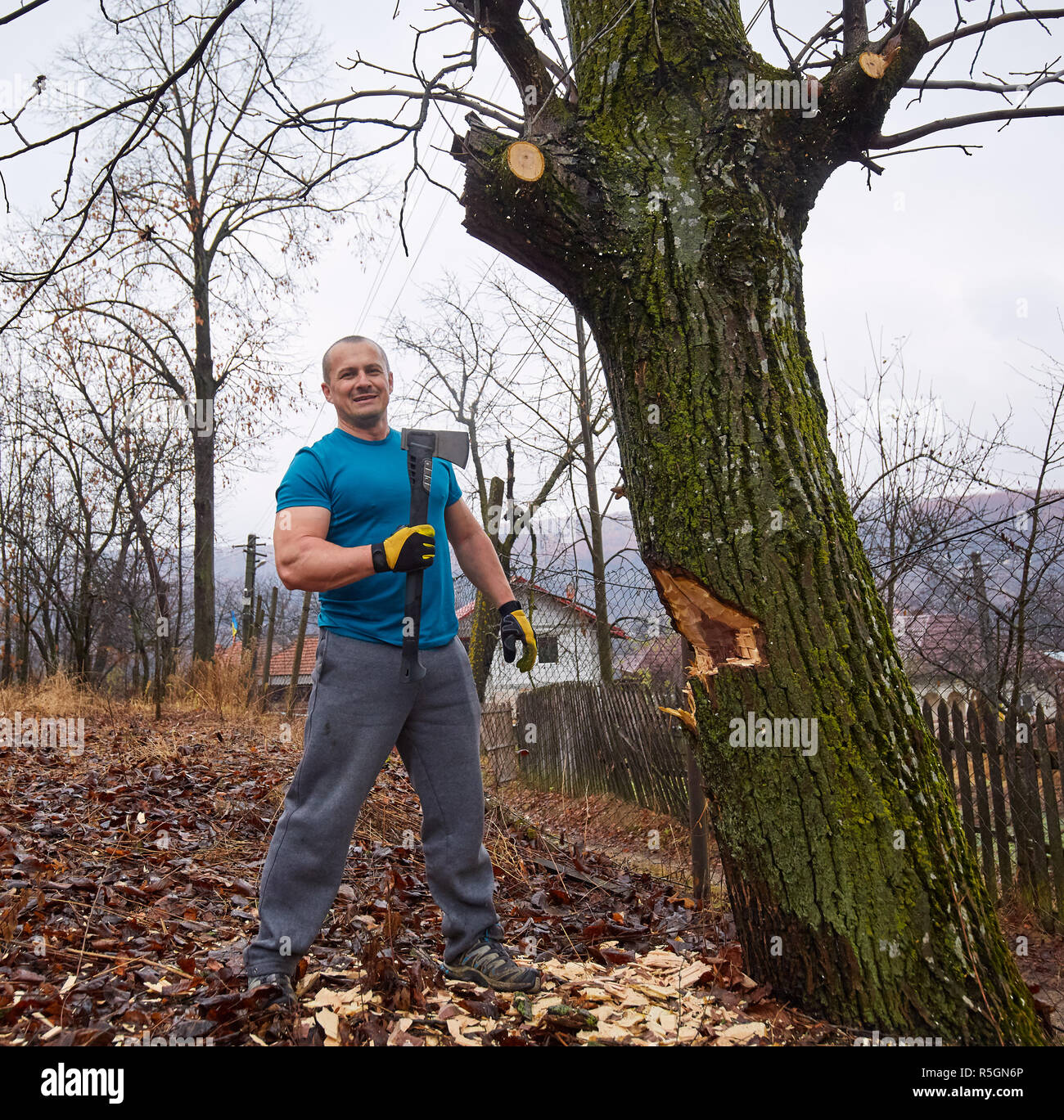 Strong lumberjack felling a big tree with an axe Stock Photo - Alamy