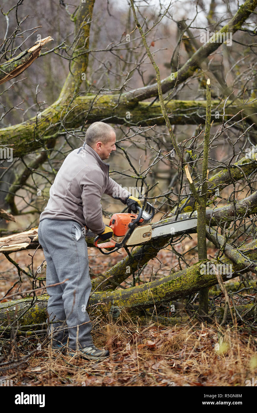 Lumberjack Working