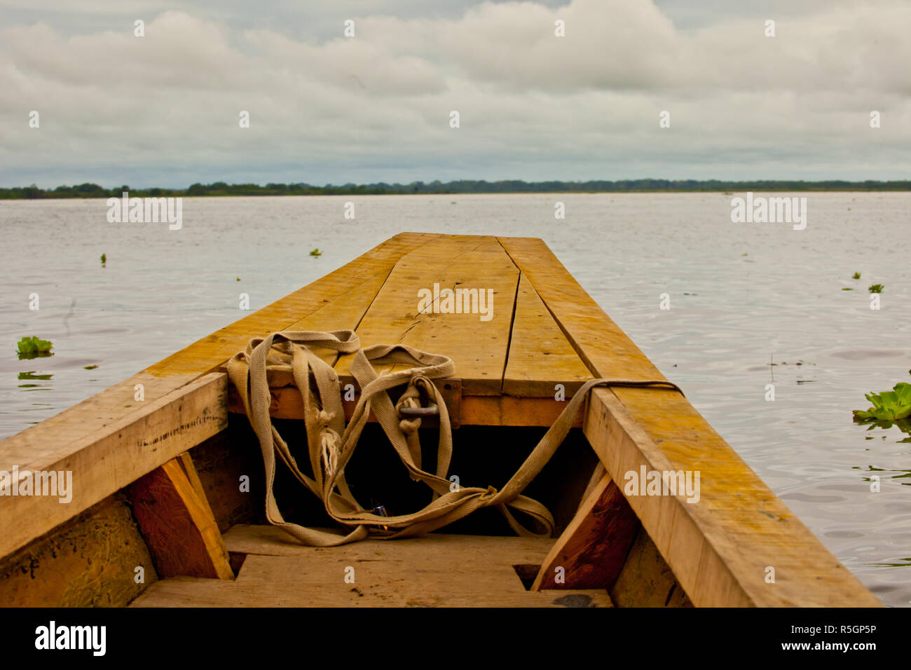 Iquitos amazon rainforest amazonia hi-res stock photography and images ...