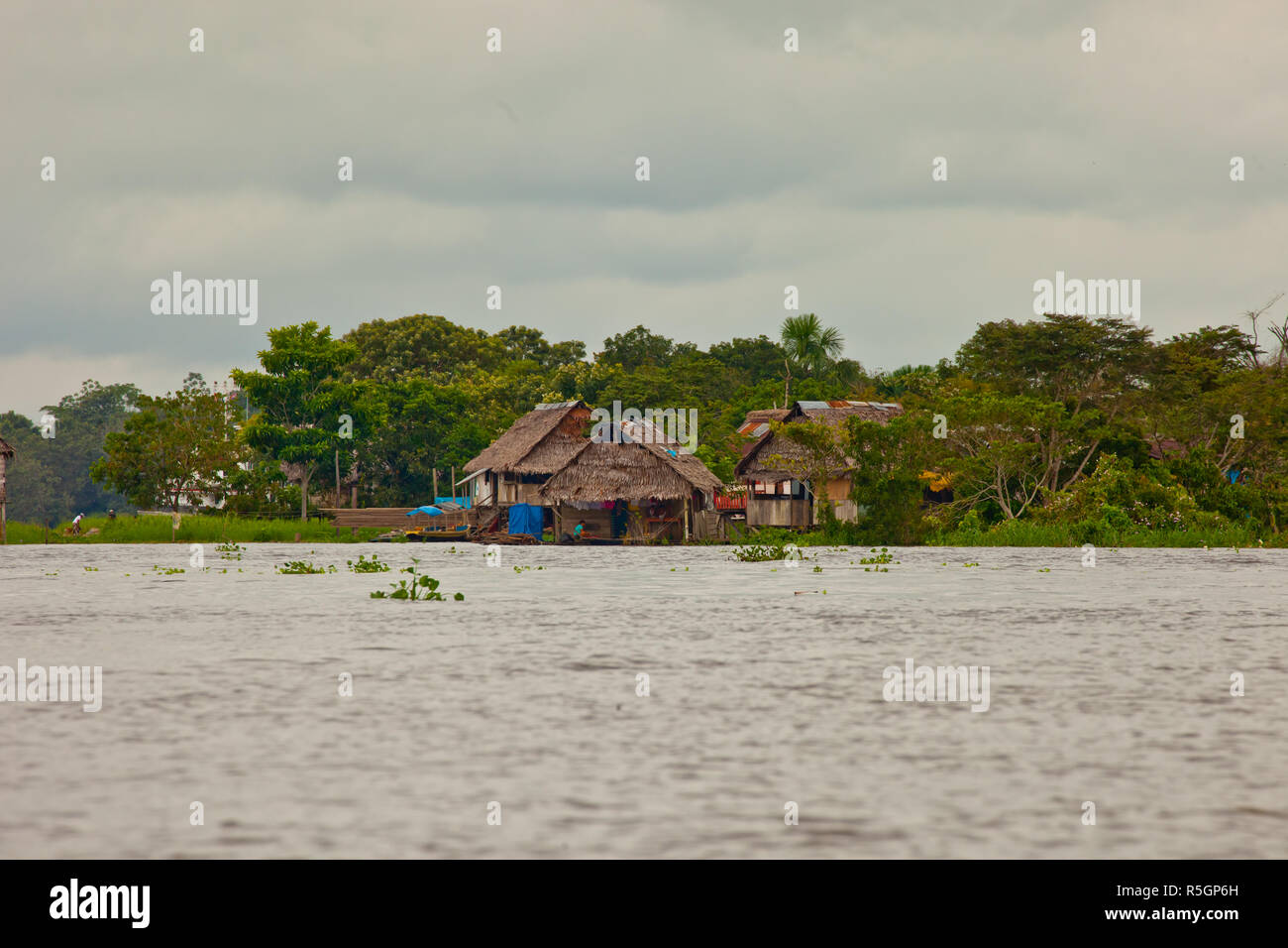 Peruvian rainforest hi-res stock photography and images - Alamy