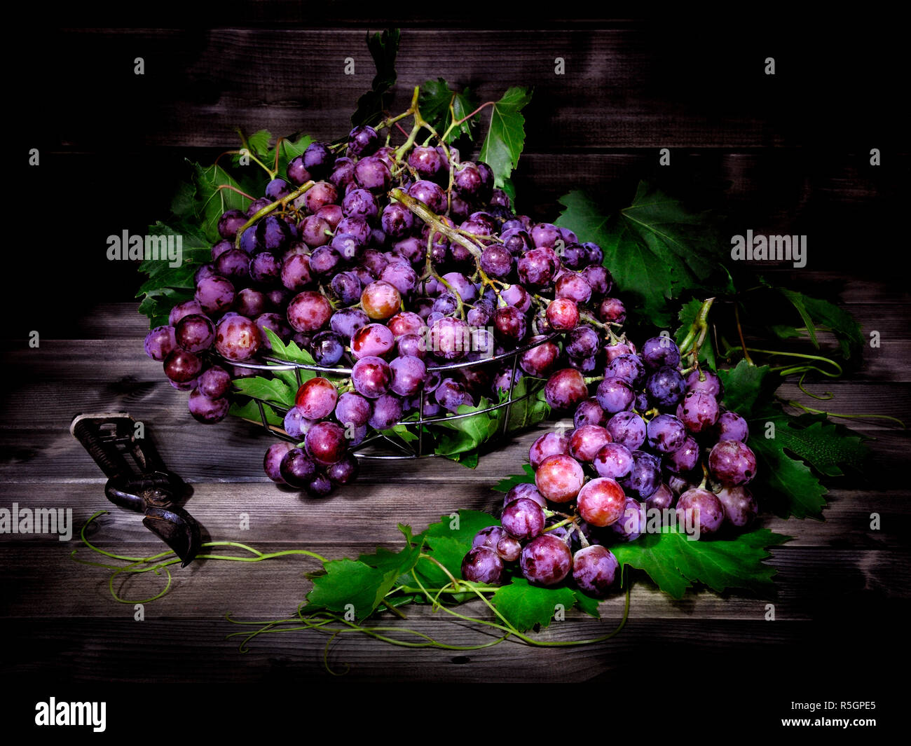 Violet grapes texture hi-res stock photography and images - Alamy