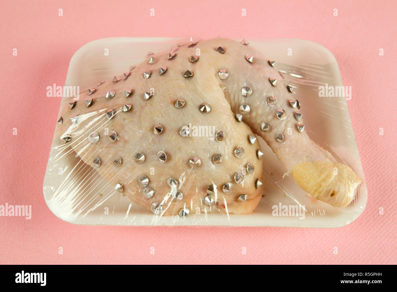 pink punk chicken Stock Photo - Alamy