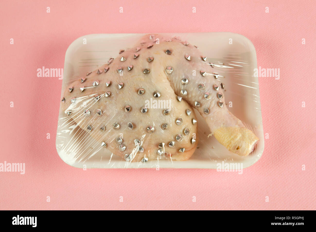 pink punk chicken Stock Photo - Alamy